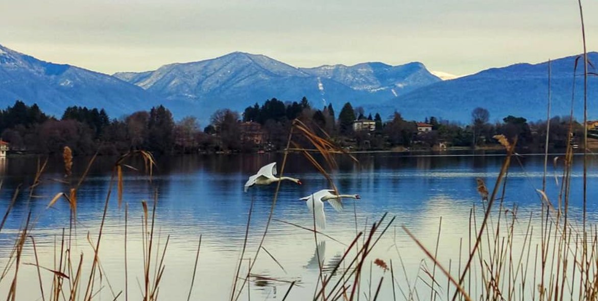 Il Lago di Monate nato da un pozzo | Oltre